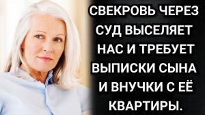 Свекровь подала в суд на выселение из квартиры своего сына и внучку. Аудио рассказы