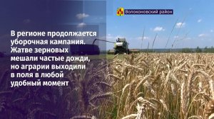 В регионе продолжается уборочная кампания
