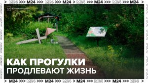 Ученые выяснили, что ежедневные активные прогулки продлевают жизнь - Москва 24