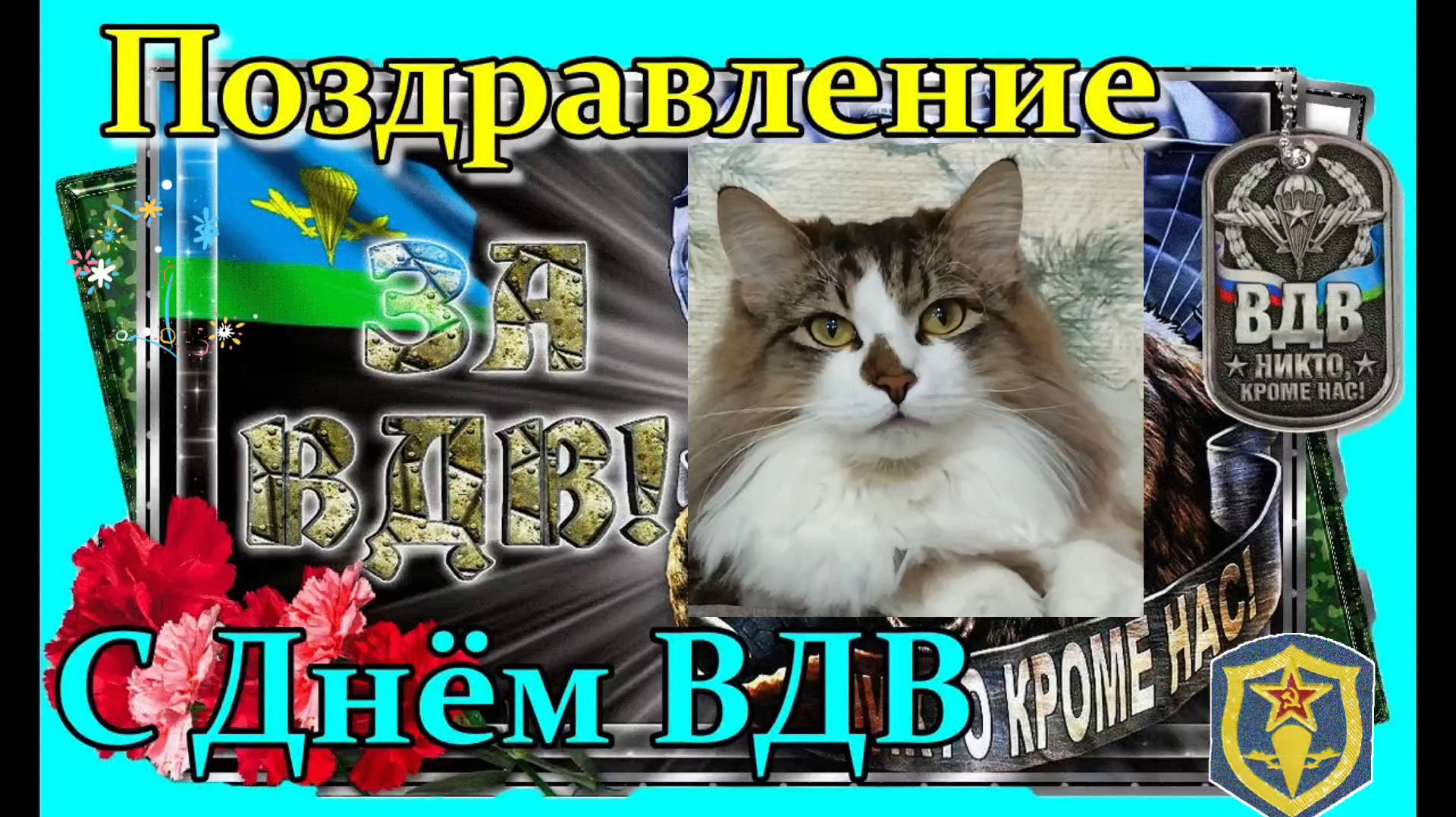 Поздравление с днём ВДВ!