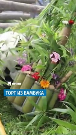 Торт из бамбука