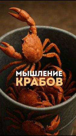 Мышления крабов!