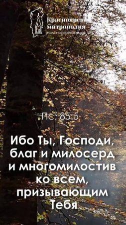 Цитаты, которые стоит услышать