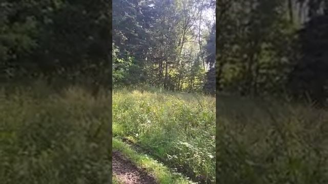 СЛОВА, ИДУЩИЕ ОТ СЕРДЦА... видео от Оксаны