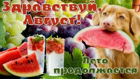 Последний месяц лета. Август. Музыкальная открытка.