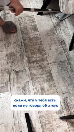 Уборка | коты