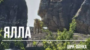 Ялла. Национальный парк. Кусочек удивительной природы.