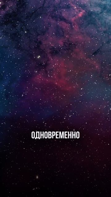 Нужно ли отказываться от мяса?