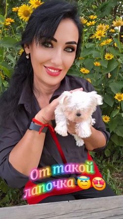 Такой лапочка 😇
