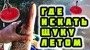 Щука на кружки летом. Где и как лучше ставить кружки на щуку. Рыбалка на живца