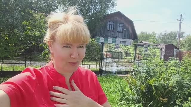 Что растёт на даче в конце июля в Подмосковье