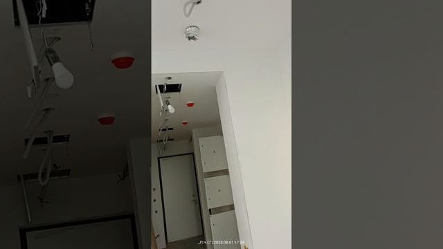 Демонтаж всё кроме пола, с последующим ремонтом под ключ.