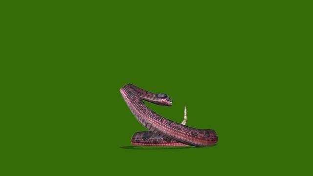 змея 4