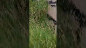 ищем приключения в деревне с подругой