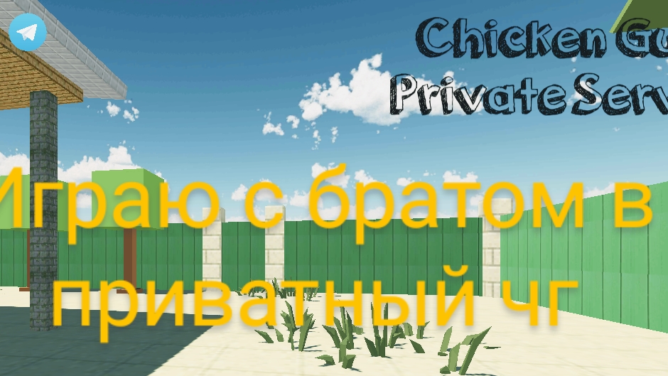 играю с братом в приватный чикен ган