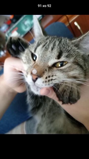 новая игра!