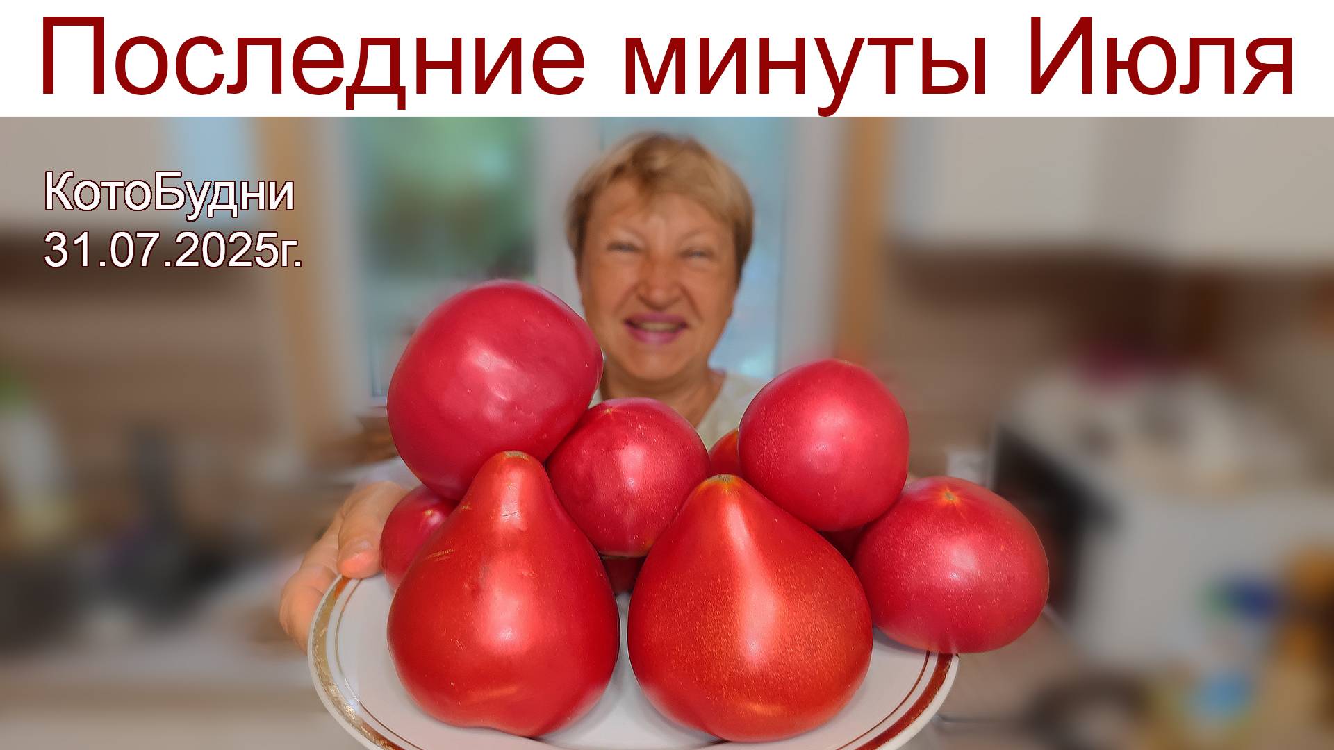 Июль с грозой, июльский воздух, снял комнаты у нас внаем или КОТоБудни от 31.07.2025г.