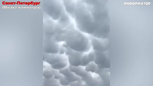Новости Сегодня 01.08.2025 - Россия, Москва, Экстренный вызов новый выпуск, Катаклизмы, США