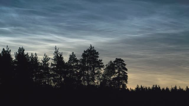 Серебристые облака 2025 год