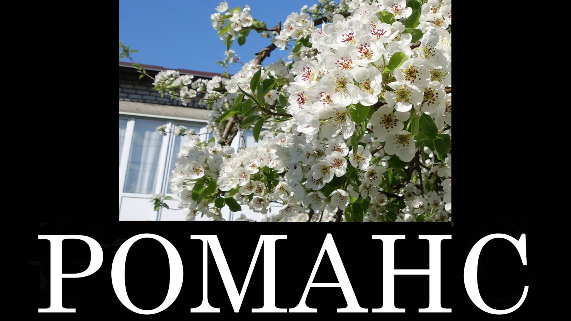 "Снился мне сад в подвенечном уборе". Поет Галина Орлова, (Калининград). 25 июля 2025г.