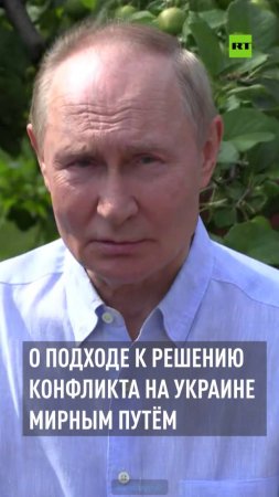 «Нужно вести обстоятельные разговоры»: Путин — о решении конфликта на Украине мирным путём