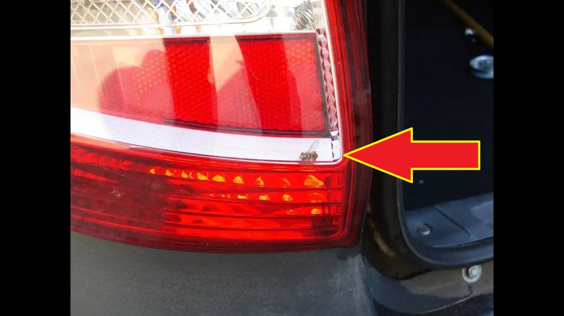 Гранта, НАСЕКОМЫЕ В ЗАДНИХ ФОНАРЯХ! Доработка!