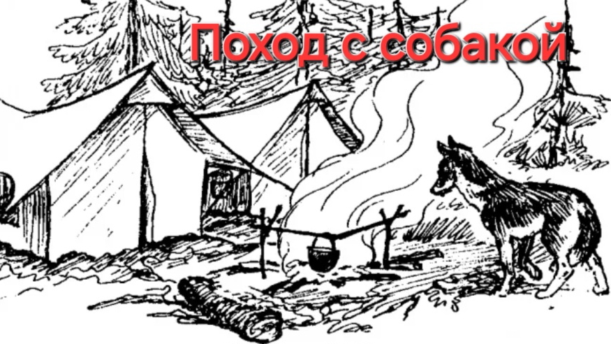 Левый берег Енисея или ёжики в тумане