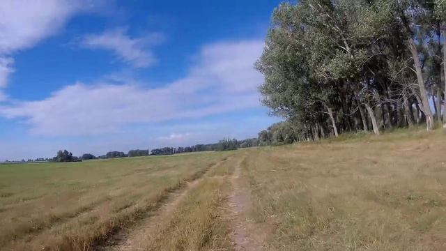 Царство покоя. 😊