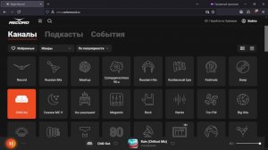 Стрим на канале Слонёнок Хакер