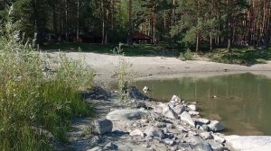 Купание в Катуни!👍❤️👣