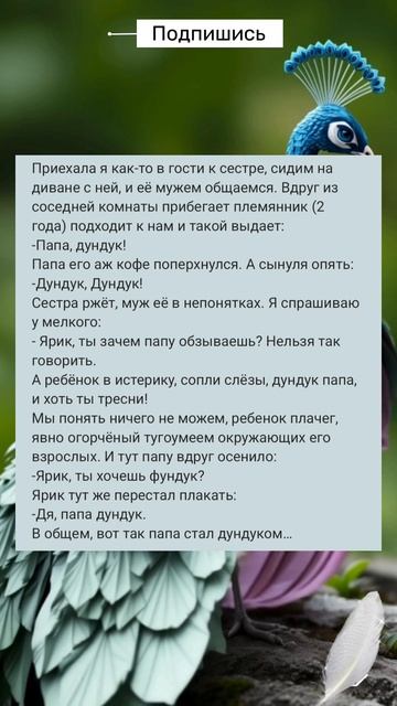 Папа дундук