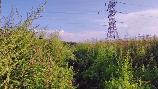 Измайловский парк 30.07.2025
