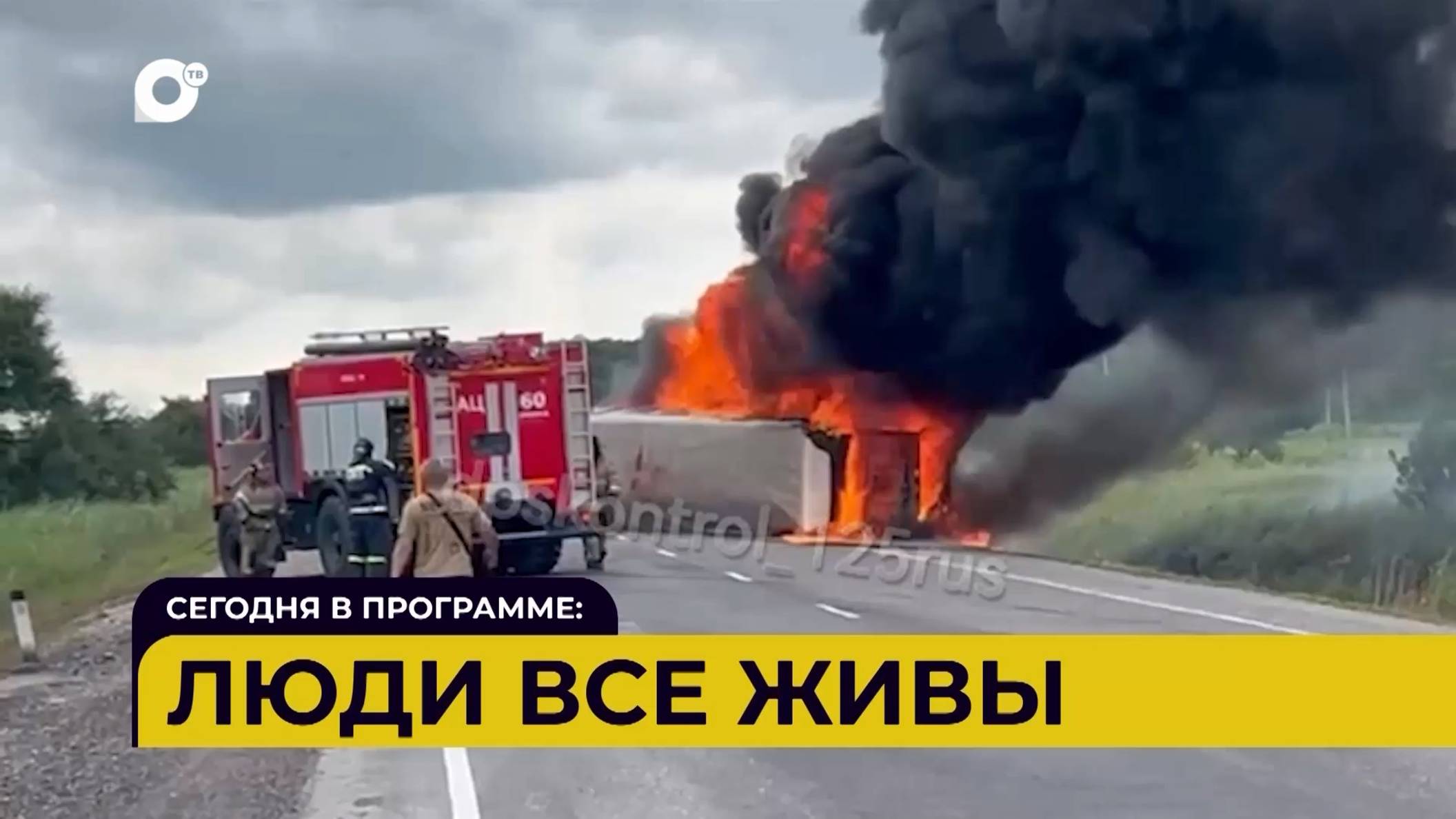 Автопатруль / Люди все живы / Плохо за рулём / Выскочил на дорогу / 31.07.25