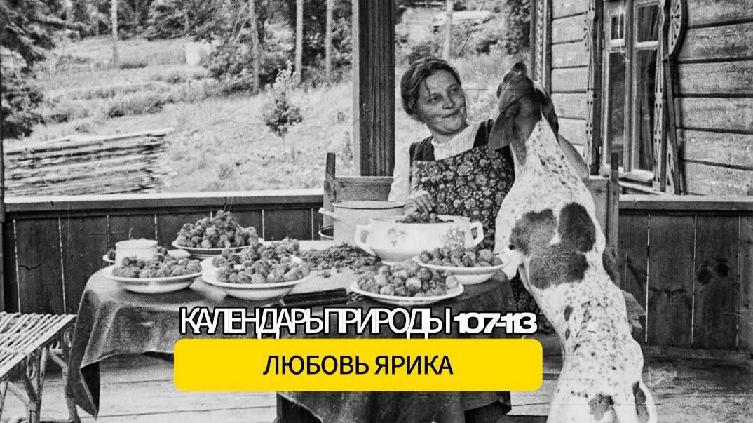 Михаил Пришвин / Календарь природы107-113 / ЛЮБОВЬ ЯРИКА / Аудиокнига / Творческая Находка