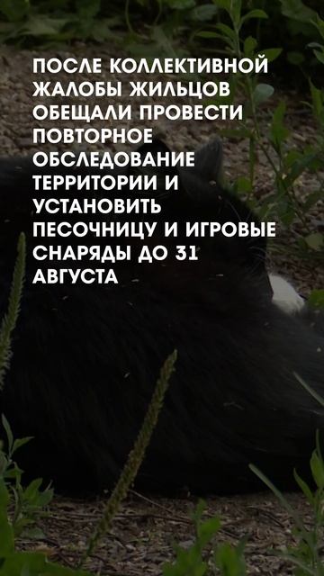 Отсутствие детской площадки