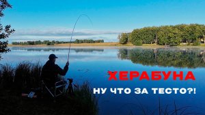 ОНИ клюют на суровое ЧЕЛЯБИНСКОЕ тесто. Привет подписчикам!)