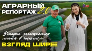 АГРАРНЫЙ РЕПОРТАЖ 2.0 // Взгляд шире // Секреты селекции