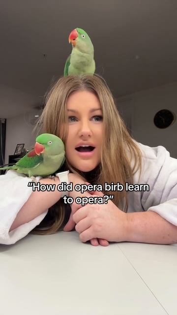 Оперный попугай🦜