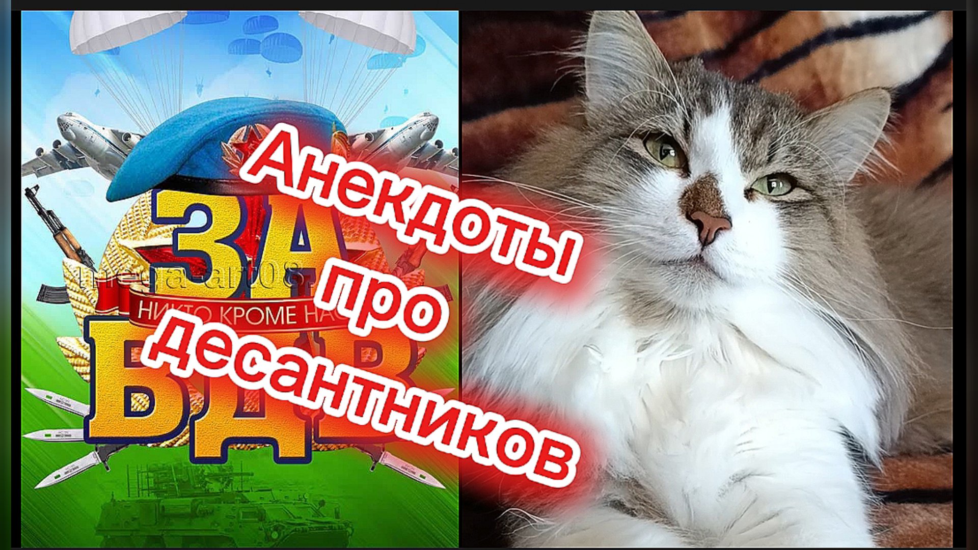 Анекдоты про десантников