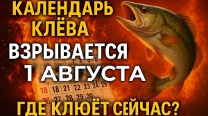 1 АВГУСТА — ЛЕТНИЙ ПИК КАК НЕ ПРОПУСТИТЬ ЖОР И ПЕРЕХИТРИТЬ САМУЮ ОСТОРОЖНУЮ РЫБУ