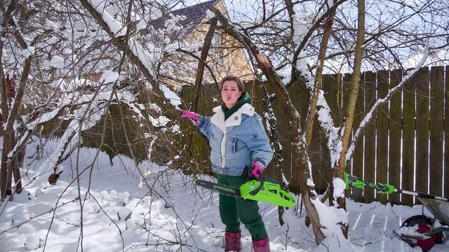 Как правильно обрезать сад | Сад мечты
