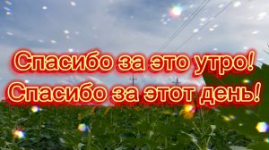 Спасибо за это утро! Спасибо за этот день! Спасибо всем добрым людям