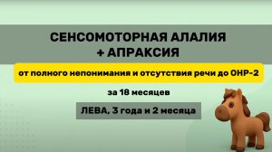Аутизм, который не аутизм. Сенсомоторная алалия: от нуля до ОНР-2 за 18 мес. Апраксия. Мальчик, 3 г.