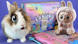 БОЛЬШАЯ распаковка ЛАБУБУ! СЕКРЕТНАЯ LABUBU А ну-ка Давай-ка ? Опять в школу