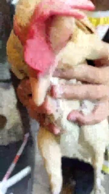 02-08-2025