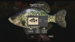 Рыбы с карточками в игре Русская рыбалка 2, коллекция озеро Лосиное, Краппи чёрный, трофей