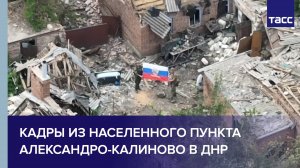ВС РФ освободили Александро-Калиново