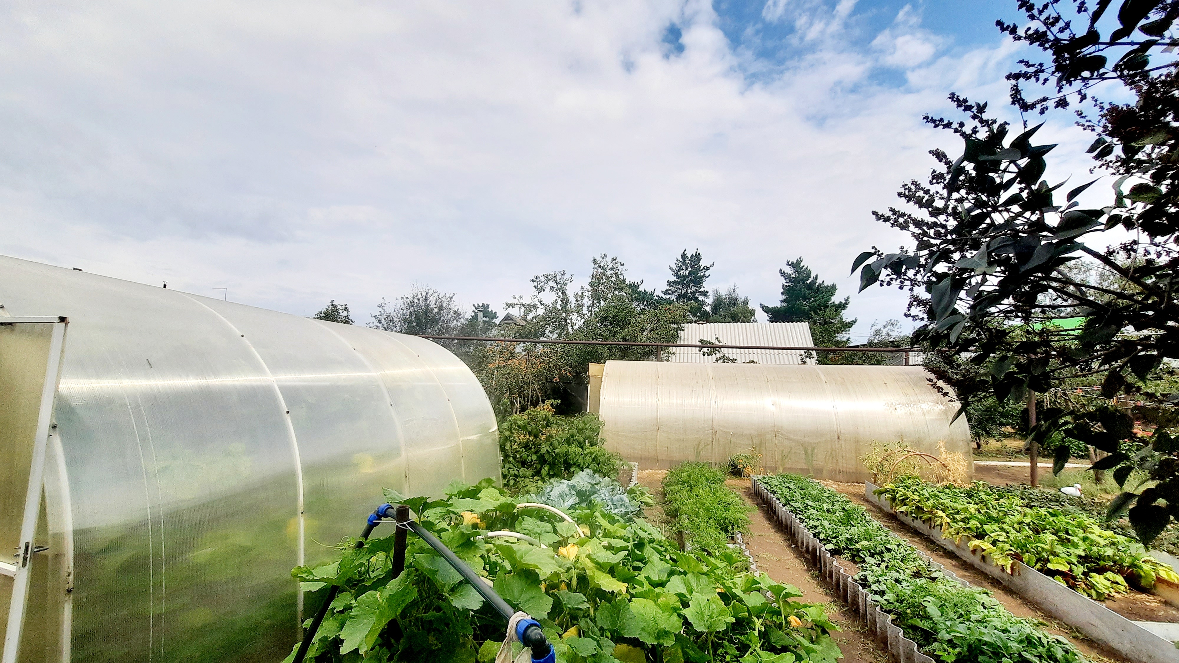А я была против!🔥Мы - за "Крылья" Самары!⚽️