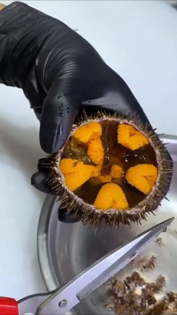 Разделка морского ежа.