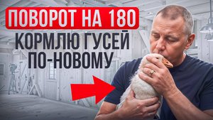 Поворот на 180°! Как я полностью изменил корм для гусей🔄🦆 #МоеПодворье
